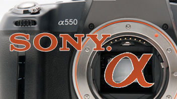 Sony Alpha 550: alla ricerca del dettaglio | Pagina 1: Introduzione ...