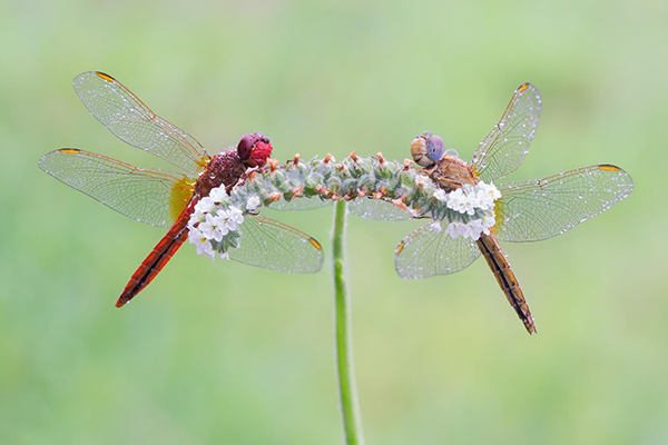 Le più belle foto del 2014 | Pagina 4: Nikon Talents | Fotografi Digitali